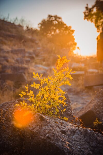 Kurdisch lernen mit Langzeitgedächtnis-Methode (2020)